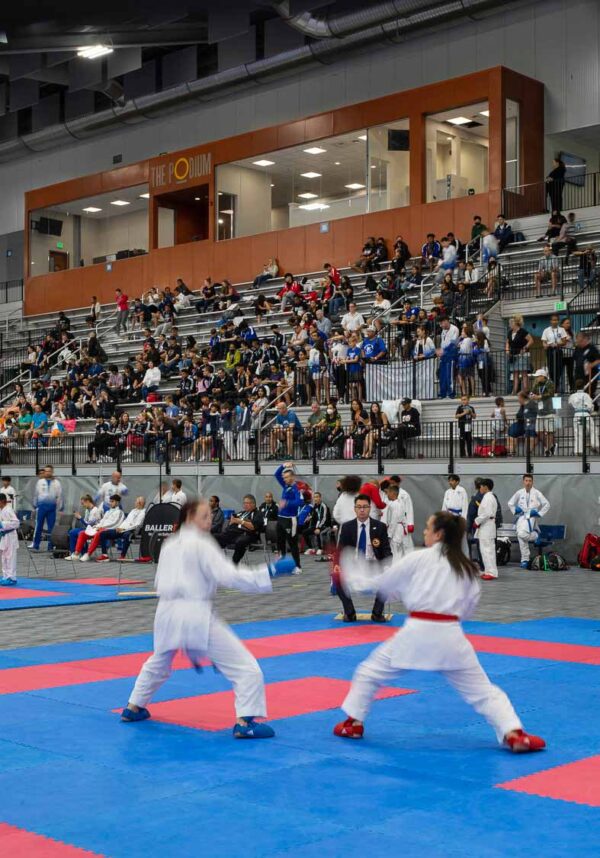 The Podium - INTEGRUS