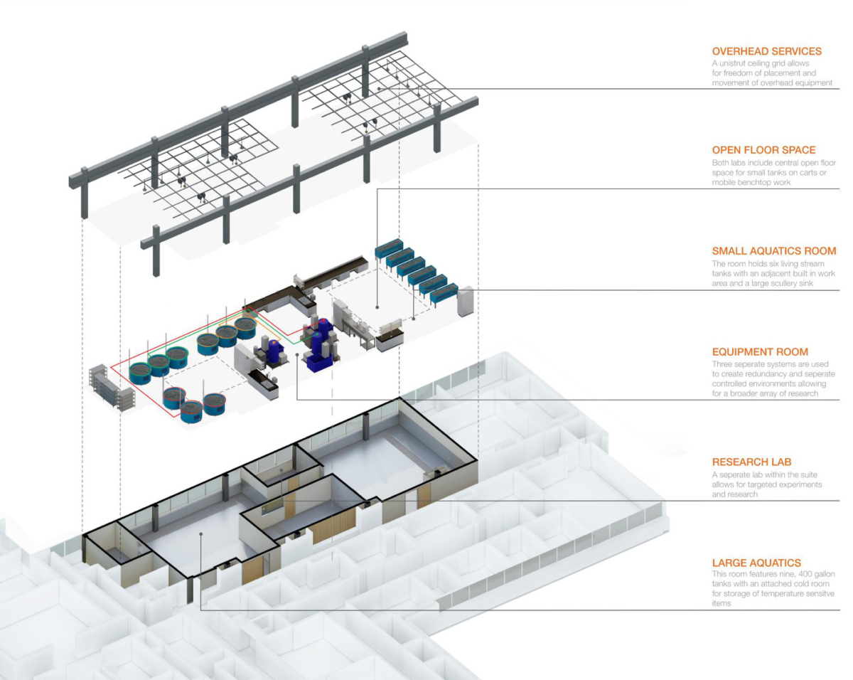 The Science Building Renovation