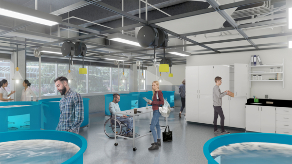 The Science Building Renovation