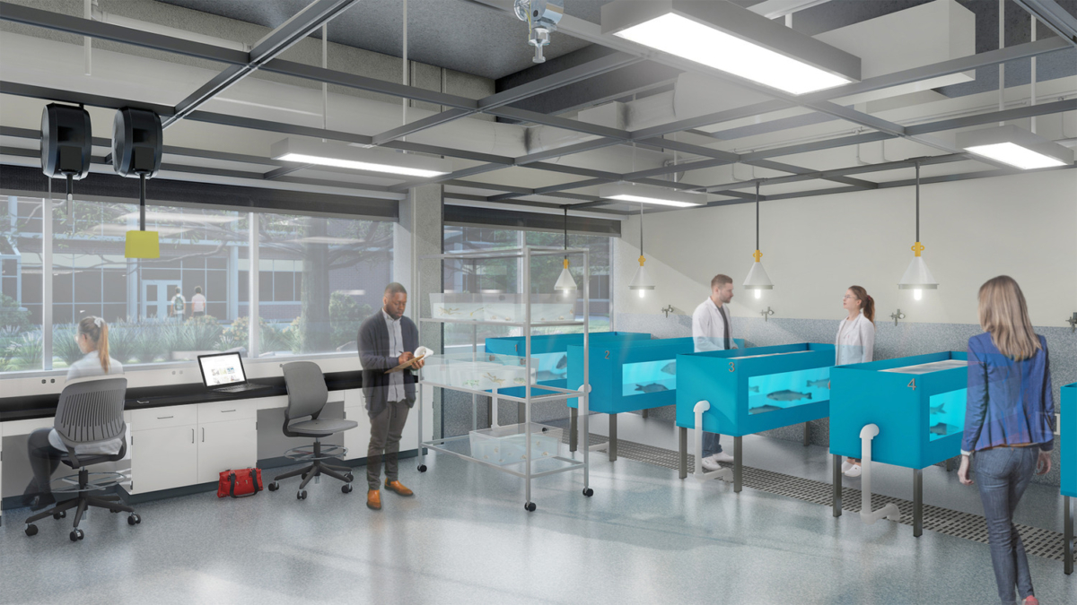 The Science Building Renovation